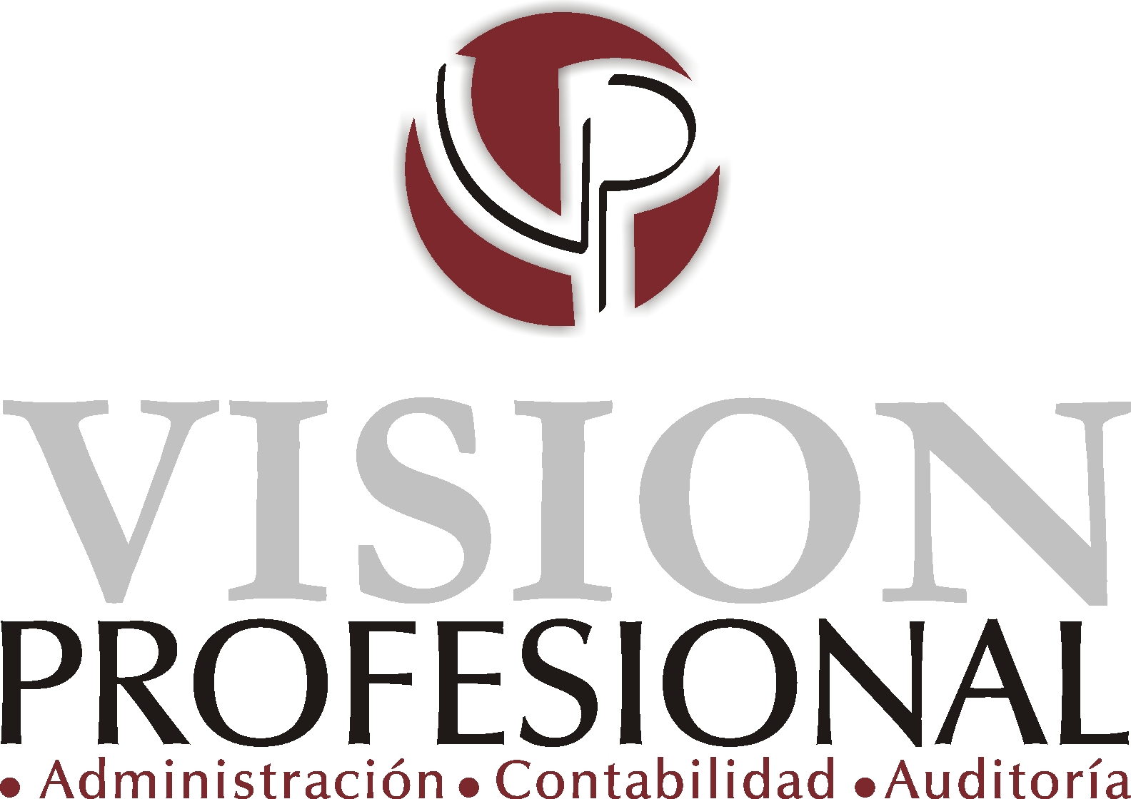 Vision Profesional - Consultora